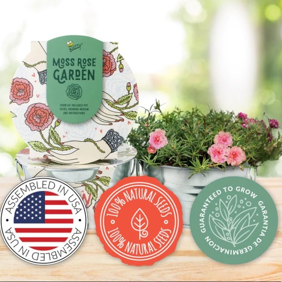 Buzzy | Accents | Buzzy Moss Rose Garden Mini Grow Kit In Galvanized ...